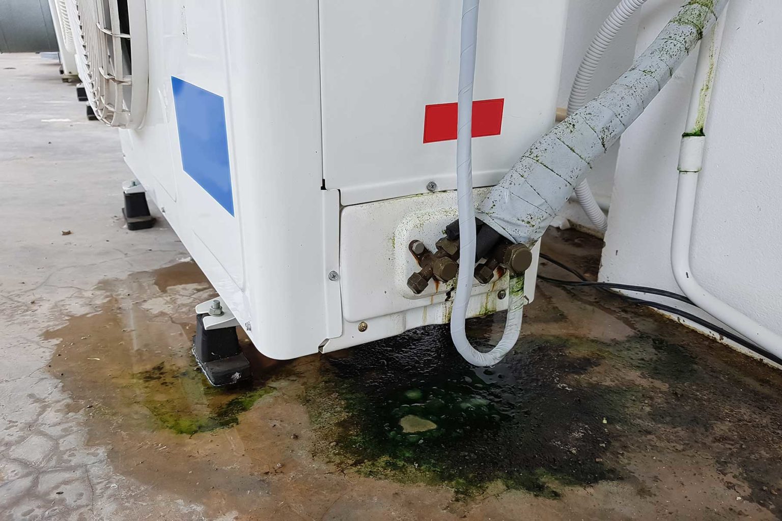 Mold Removal Fredericksburg, VA | Call Us Today | CSI of Virginia